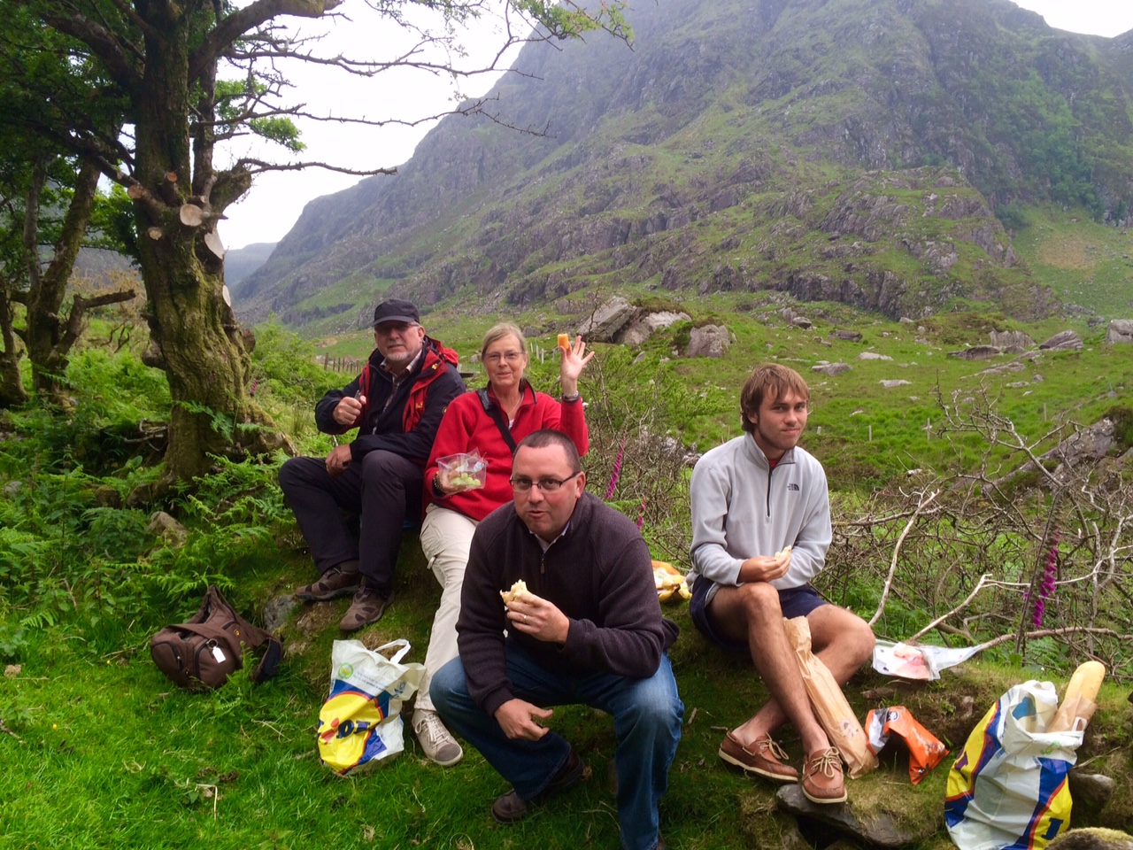 The Luck of the Irish and Traditional Shepherd's Pie - Evening with a ...